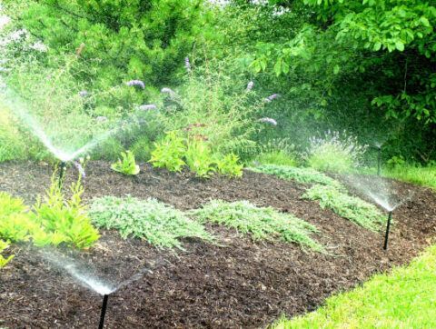 Barthuly - Barthuly Irrigation